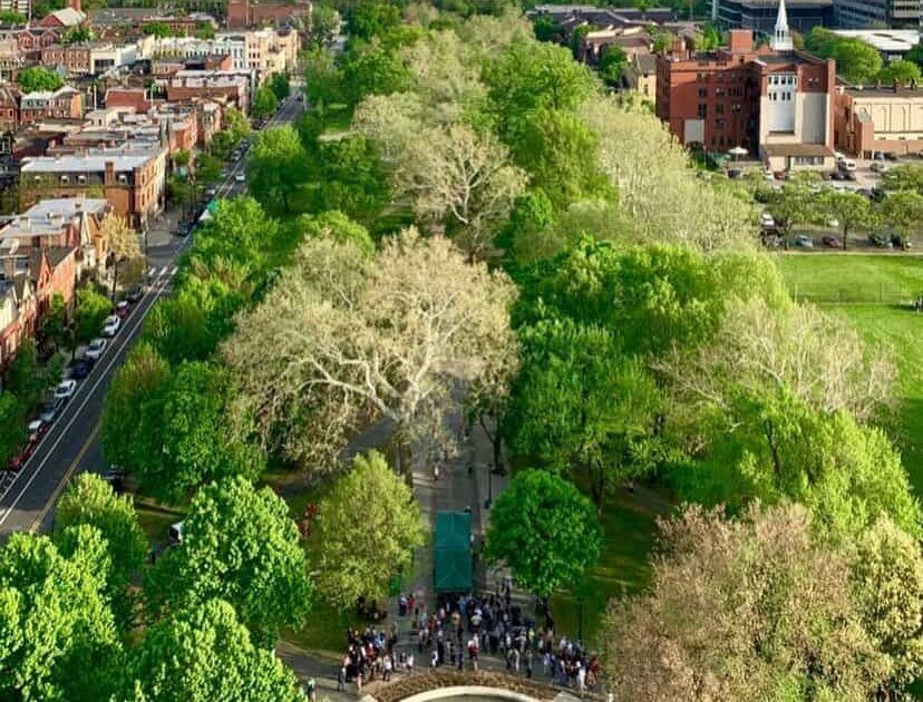 The Pittsburgh Parks Conservancy: Beautifying the City, One Park at ...
