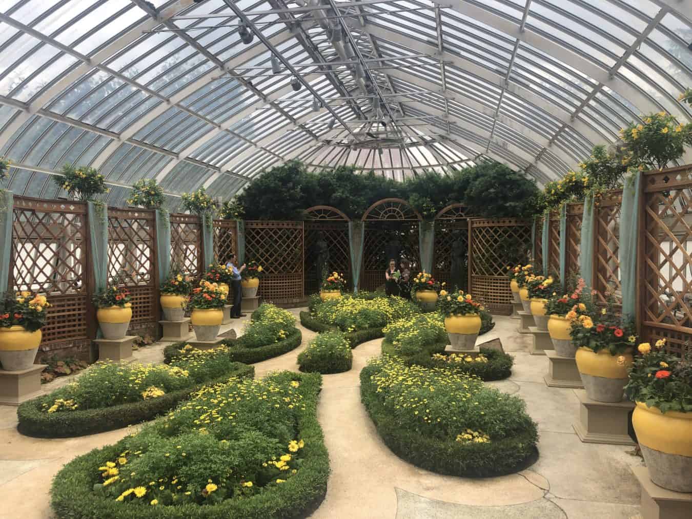 Van Gogh in Bloom at Phipps - Made In PGH