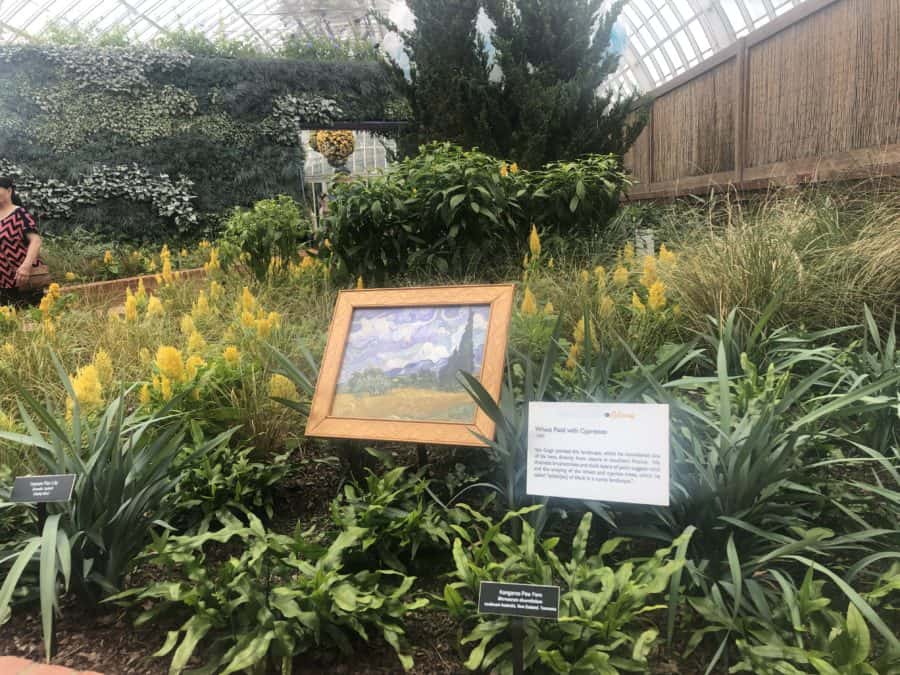 Van Gogh in Bloom at Phipps - Made In PGH