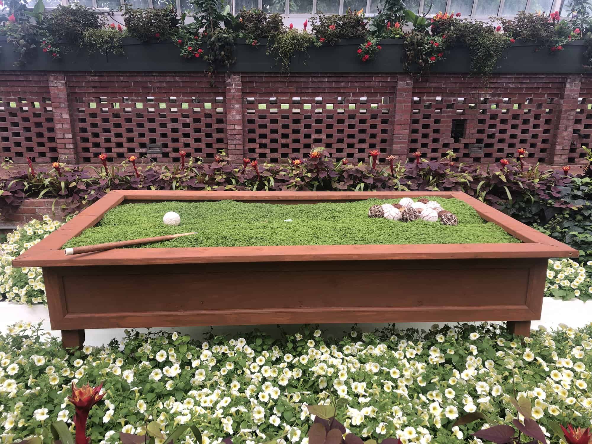 Van Gogh in Bloom at Phipps - Made In PGH