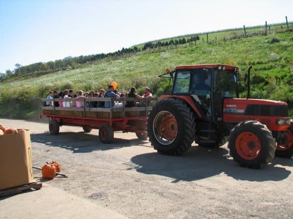 8 Fall Festivals Happening at Local Farms - Made In PGH