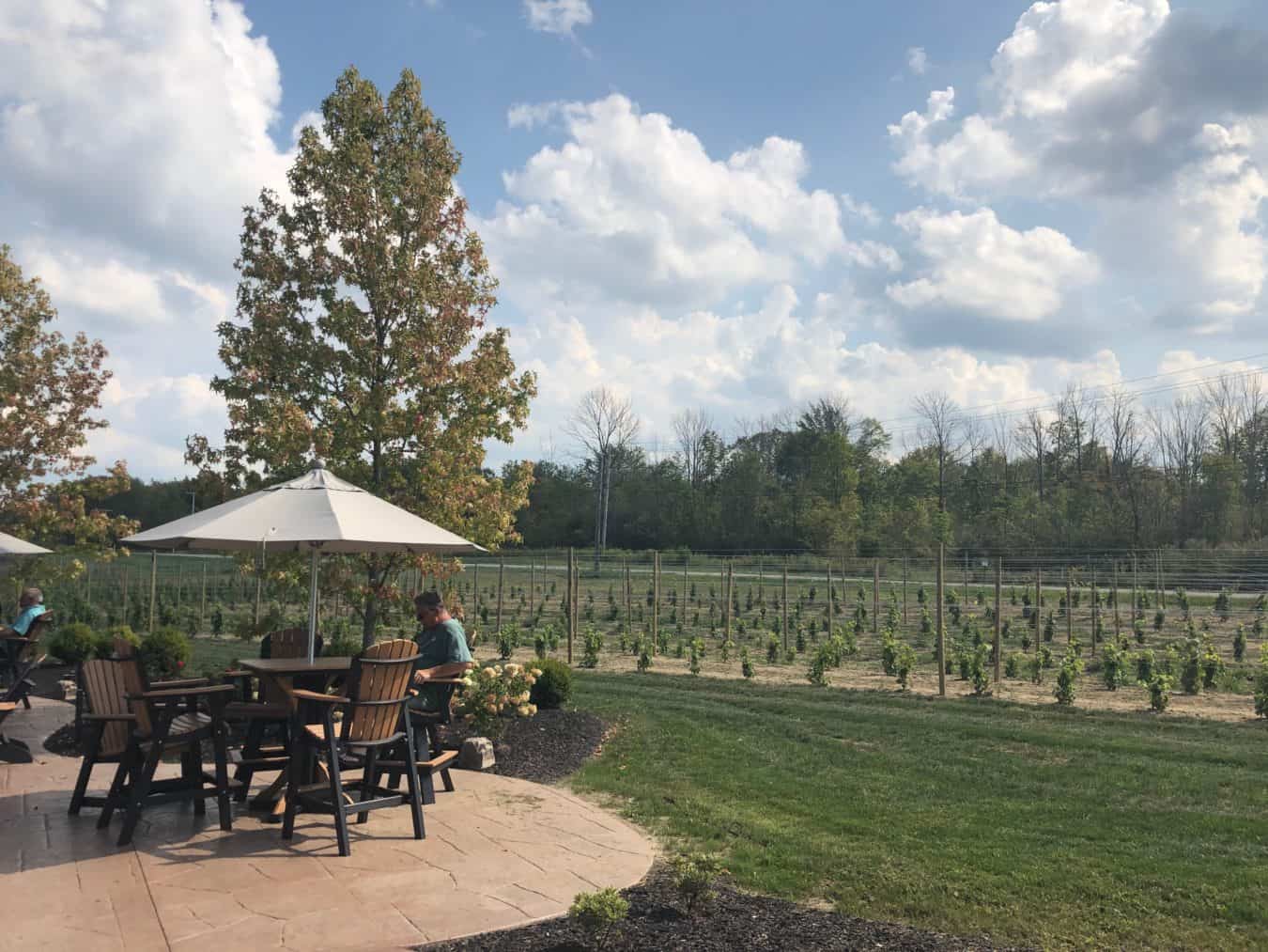 A Weekend of Wineries: Geneva-on-the-Lake - Made In PGH