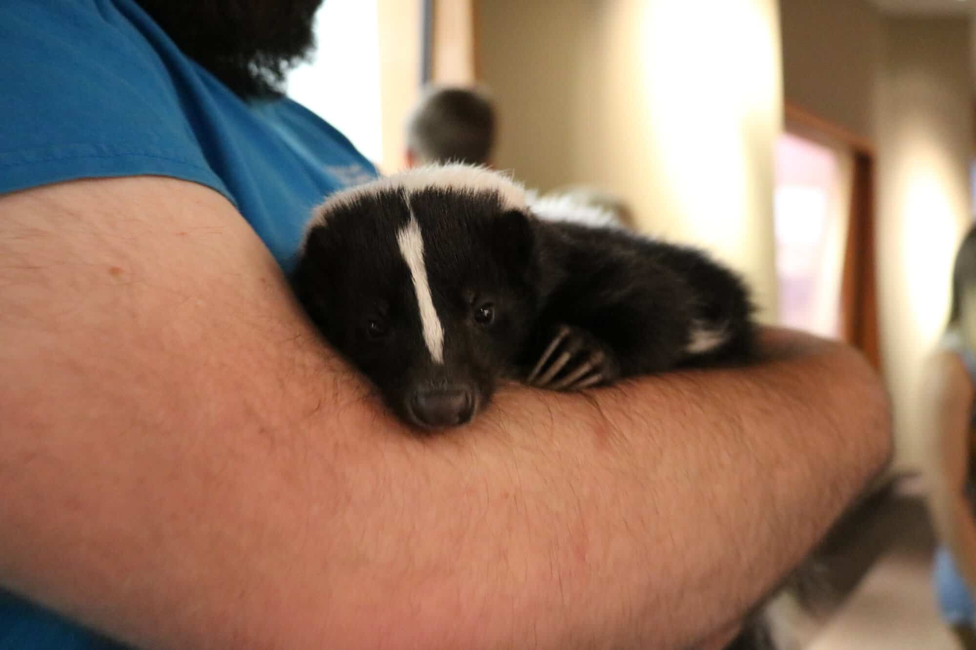 Carnegie Museum of Natural History: Meet the Live Animals