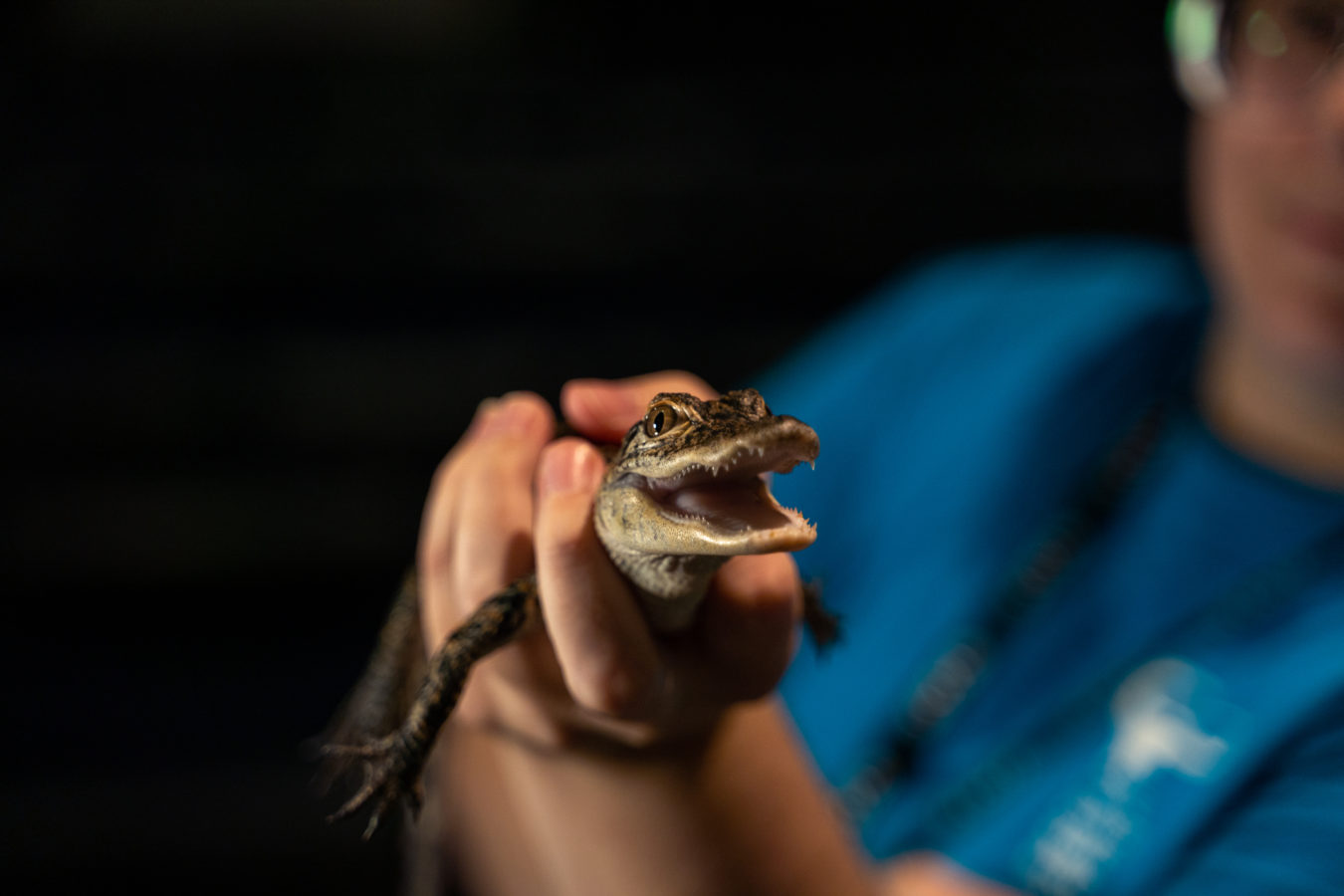 Carnegie Museum of Natural History: Meet the Live Animals