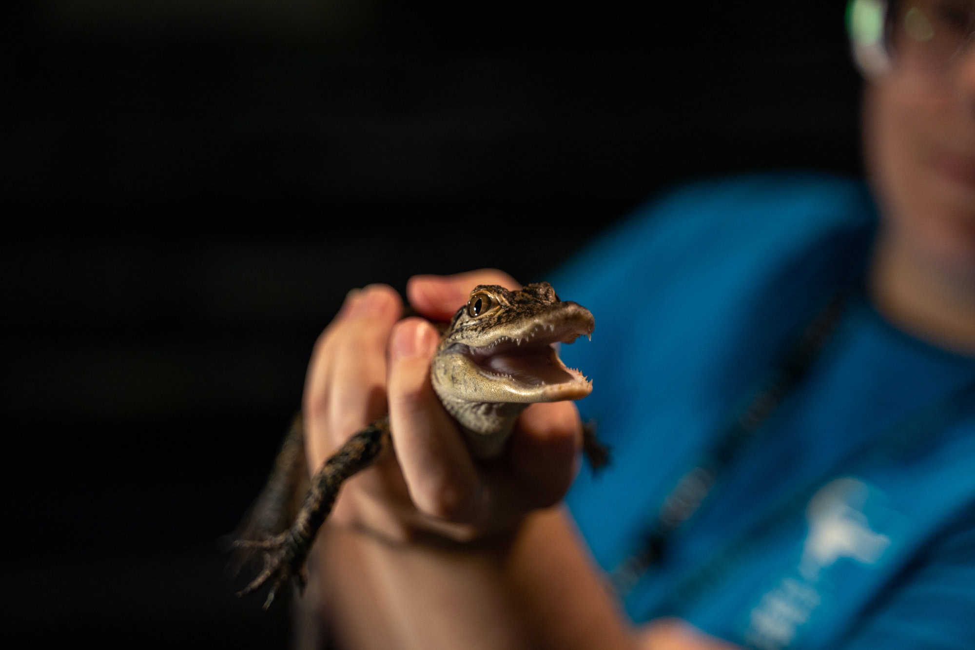 Carnegie Museum of Natural History: Meet the Live Animals