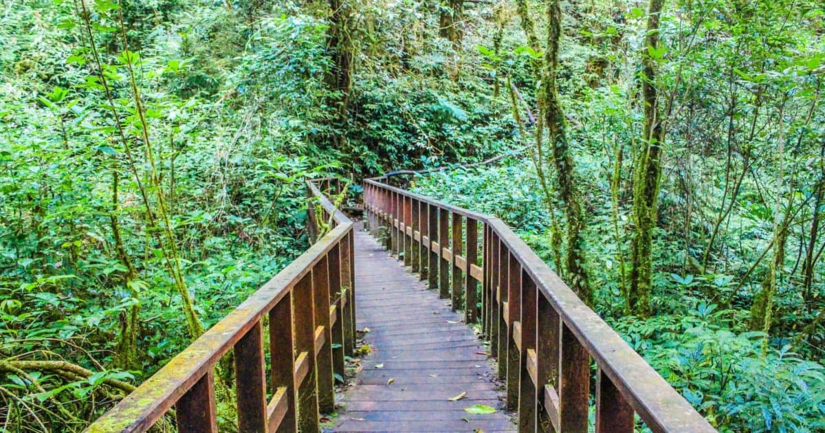 Local Hiking Trails and State Parks to Explore - Made In PGH