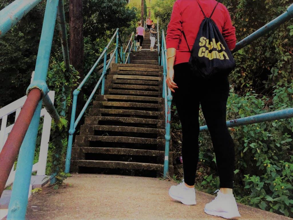 A Pedestrian Guide to the Pittsburgh City Steps - Made In PGH