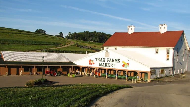 Trax Farms: Pittsburgh's One Stop Shop For Your Summer Needs - Made In PGH