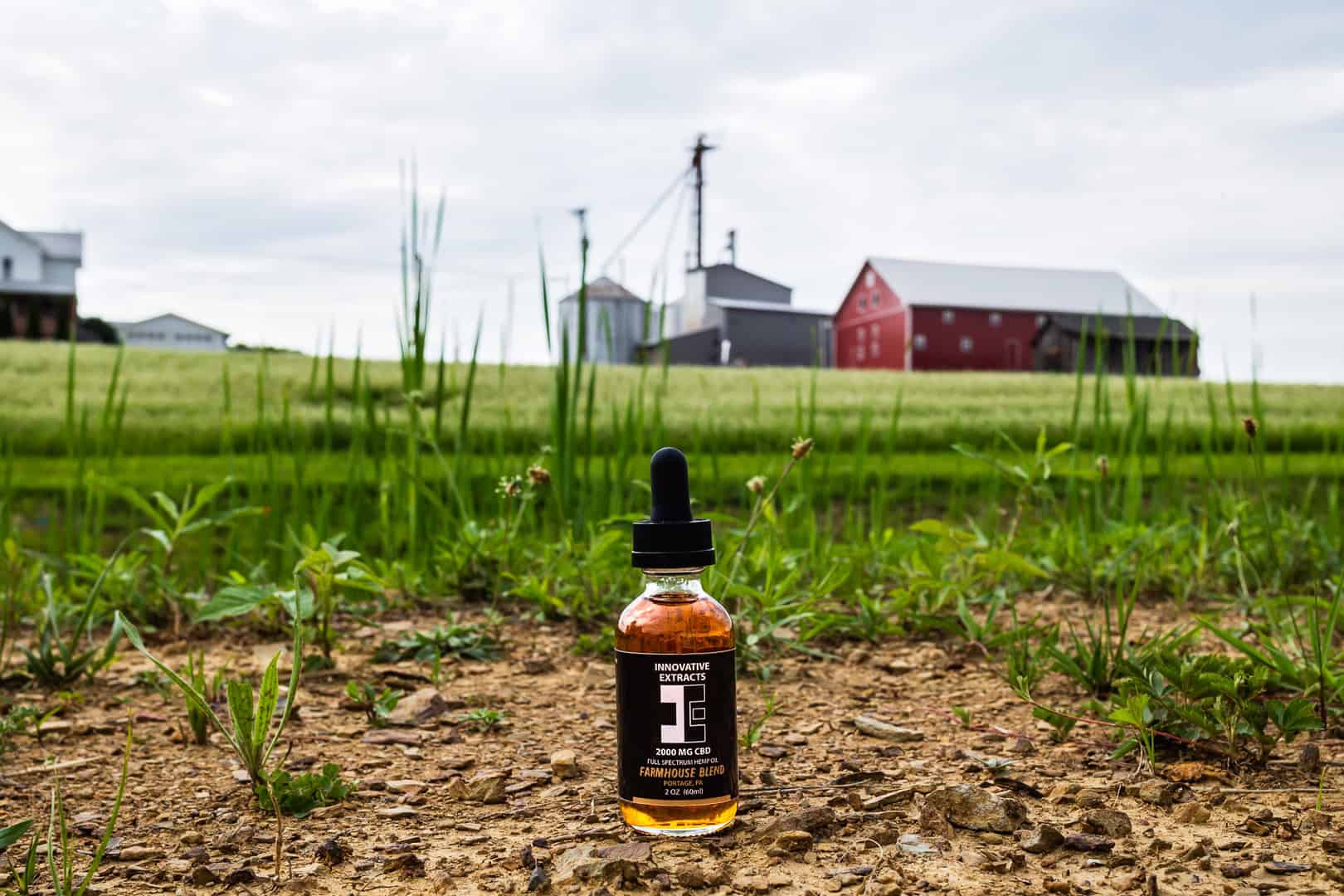 Countdown to Spring with 10 Days of Giveaways Presented by Made in PGH ...