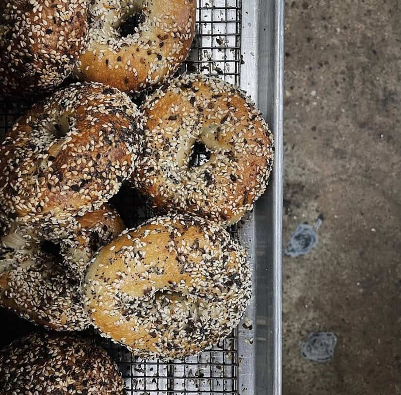 Enjoy your Summer with Pigeon Bagels! - Made In PGH