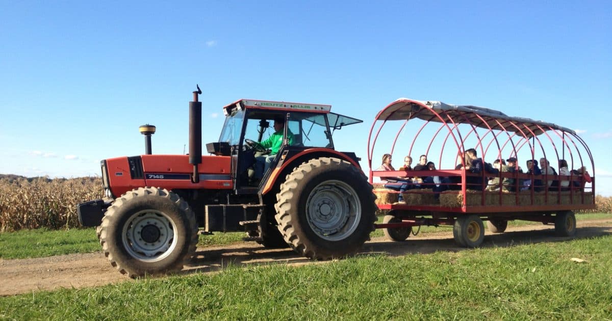 Celebrate Fall at Trax Farms! - Made In PGH