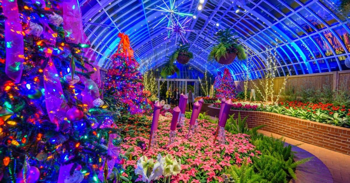 Twinkle and Shine with Pittsburgh’s Holiday Light Displays - Made In PGH