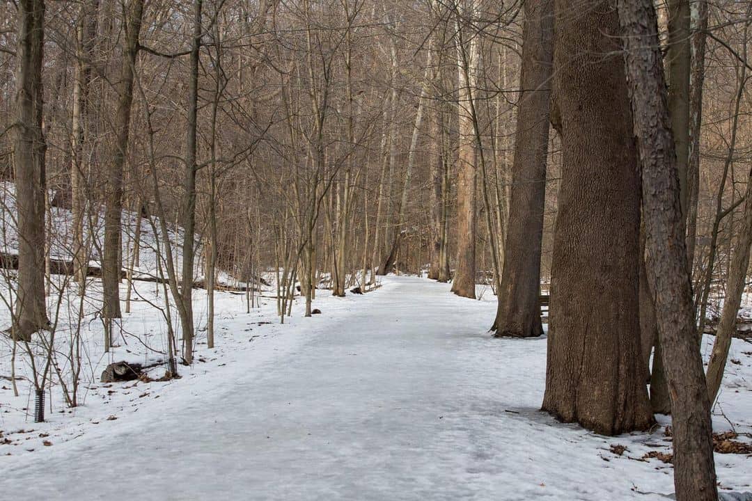 Winter Walking Trails - Made In PGH