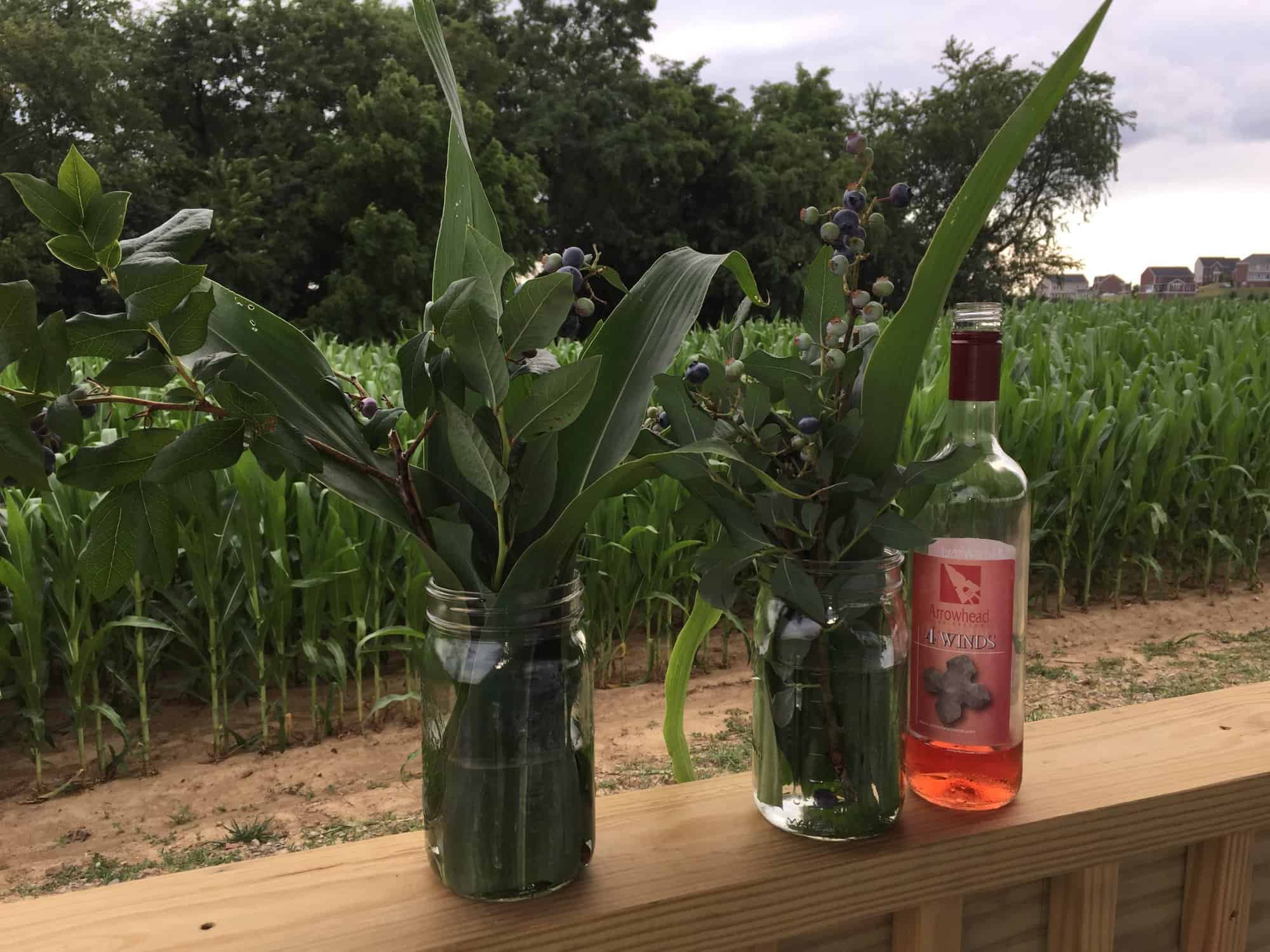 Trax Farm-to-Table: Fresh food and Scenic Hayrides! - Made In PGH