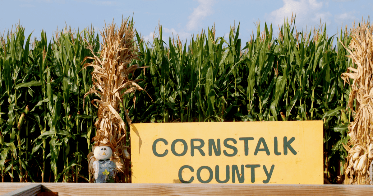 Trax Farms Fall Events are here! - Made In PGH