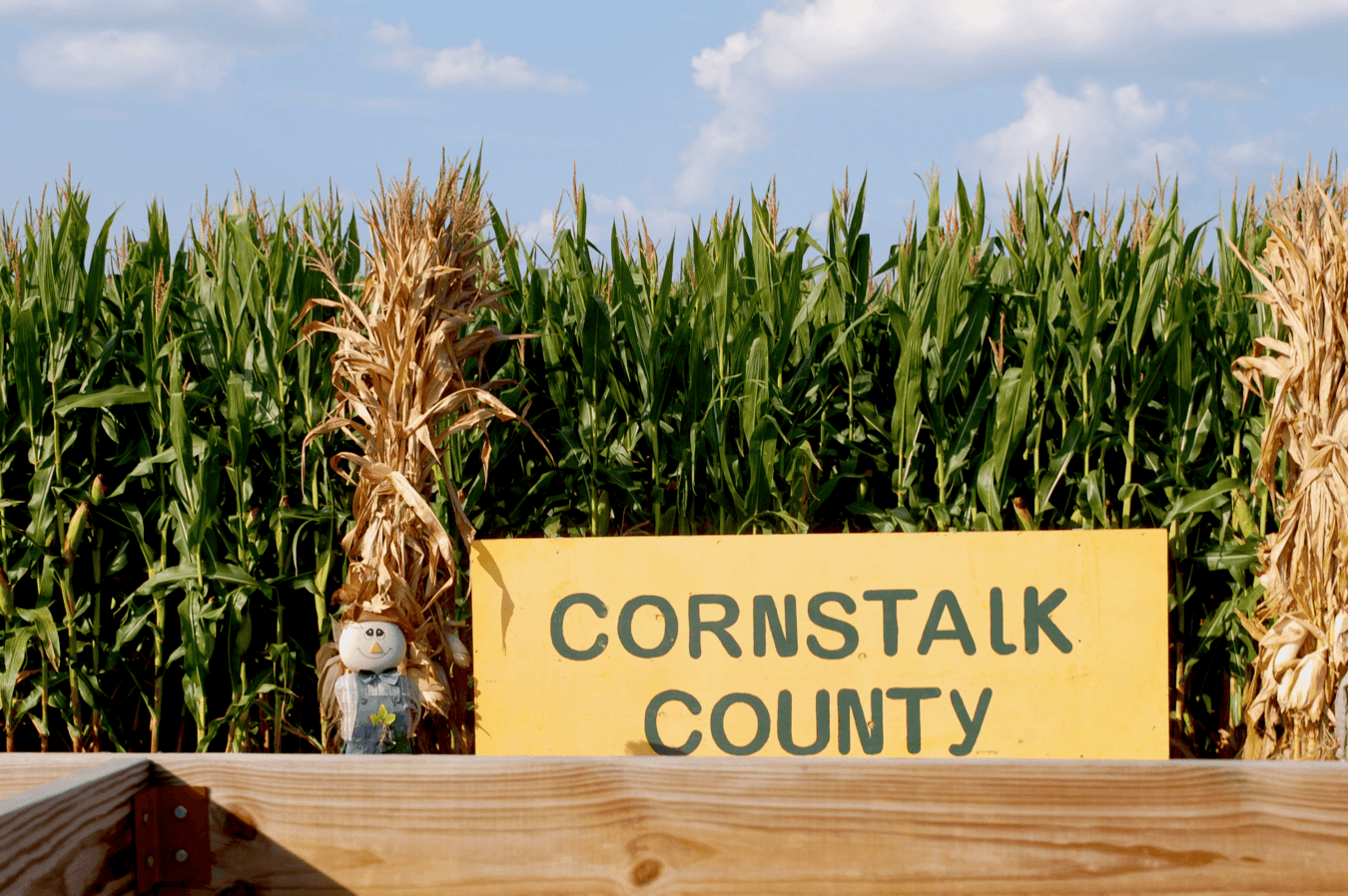 Trax Farms Fall Events are here! - Made In PGH