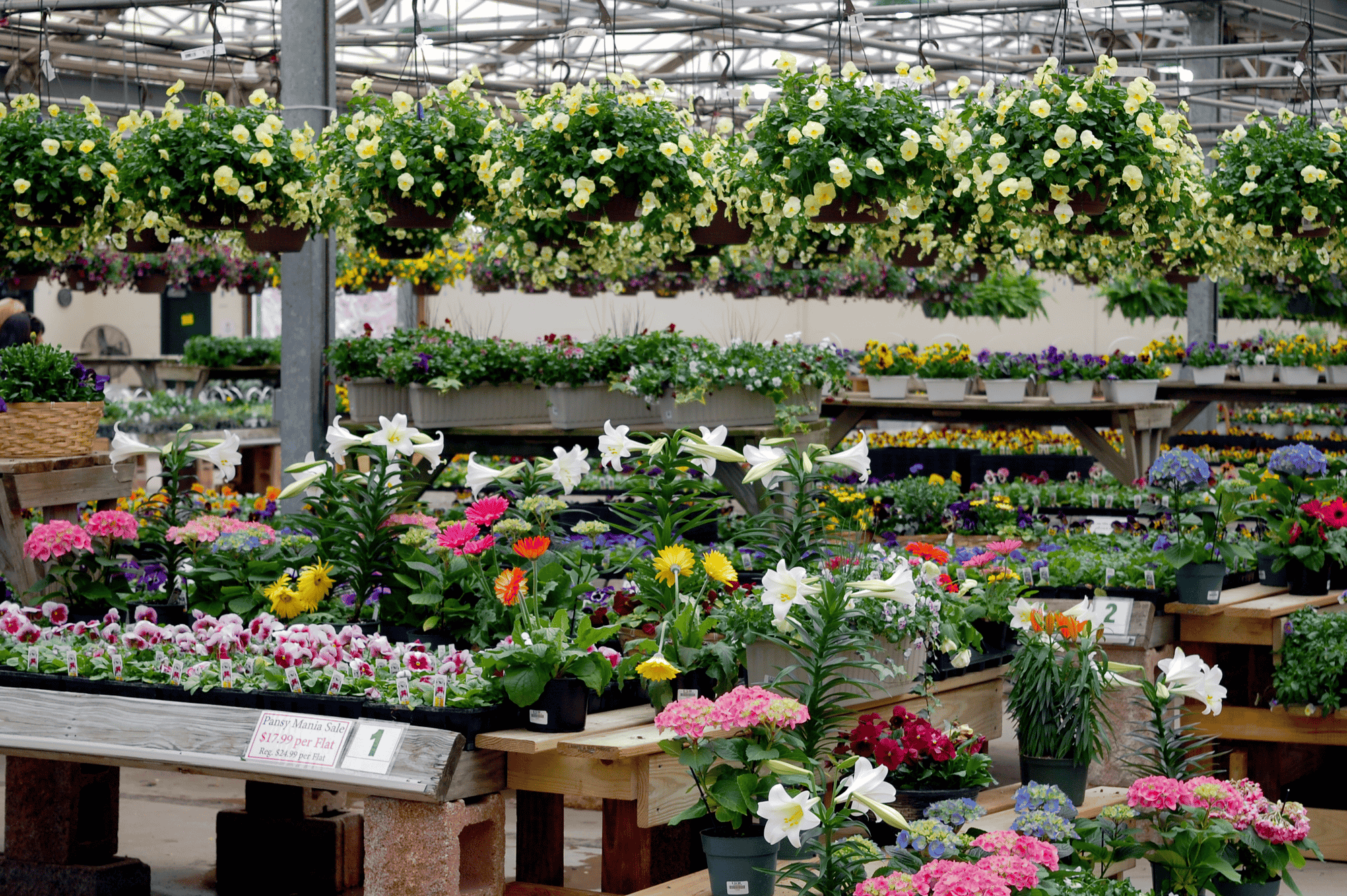 Trax Farms is Your Gardening Destination! - Made In PGH