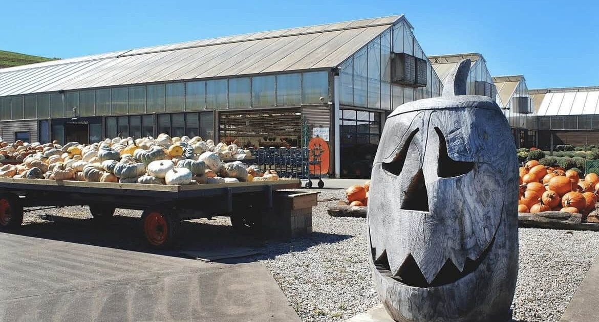 Best Fall Decor Stores in Pittsburgh - Autumn 2023 Decor - Made In PGH