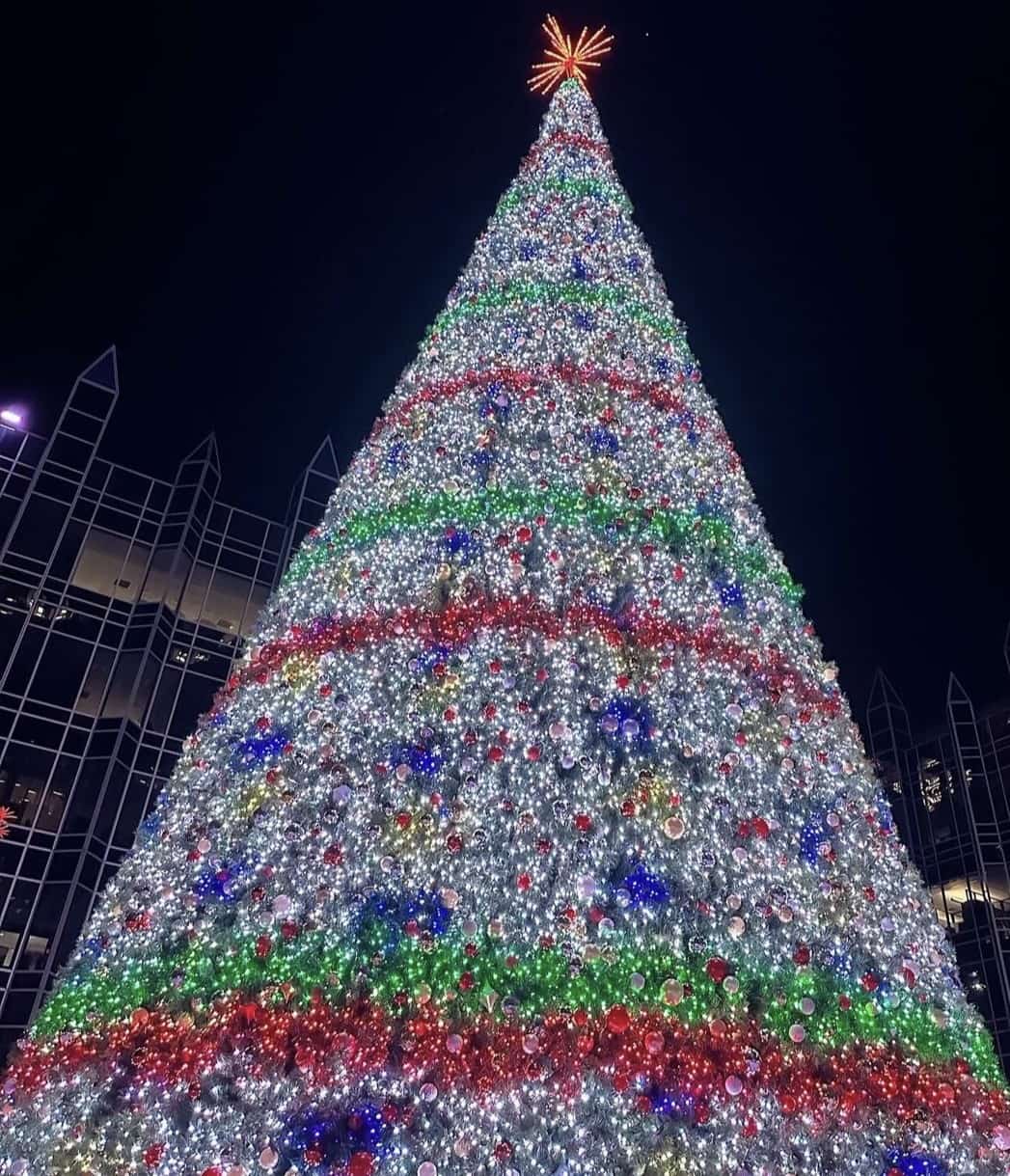 Classic Things To Do in Pittsburgh This December - Made In PGH