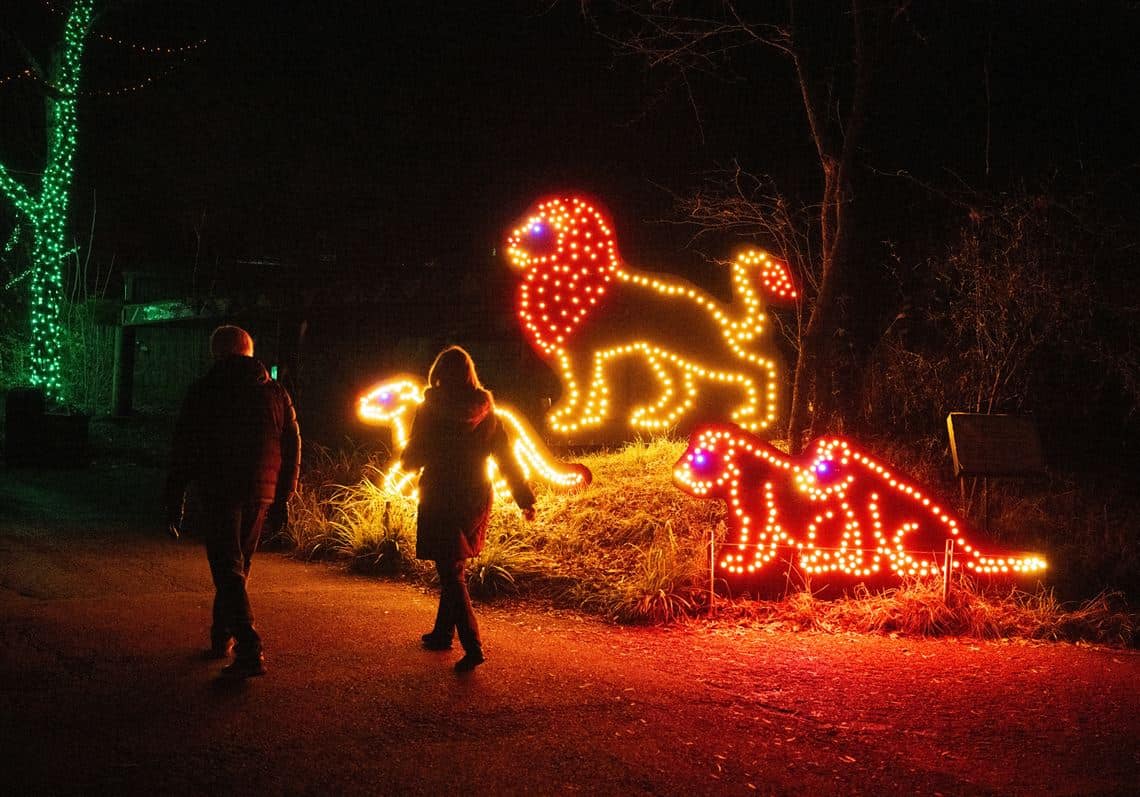 Experience over 150 animal lights at Pittsburgh Zoo Lights! - Made In PGH Experience over 150 animal lights at Pittsburgh Zoo Lights! - Made In PGH