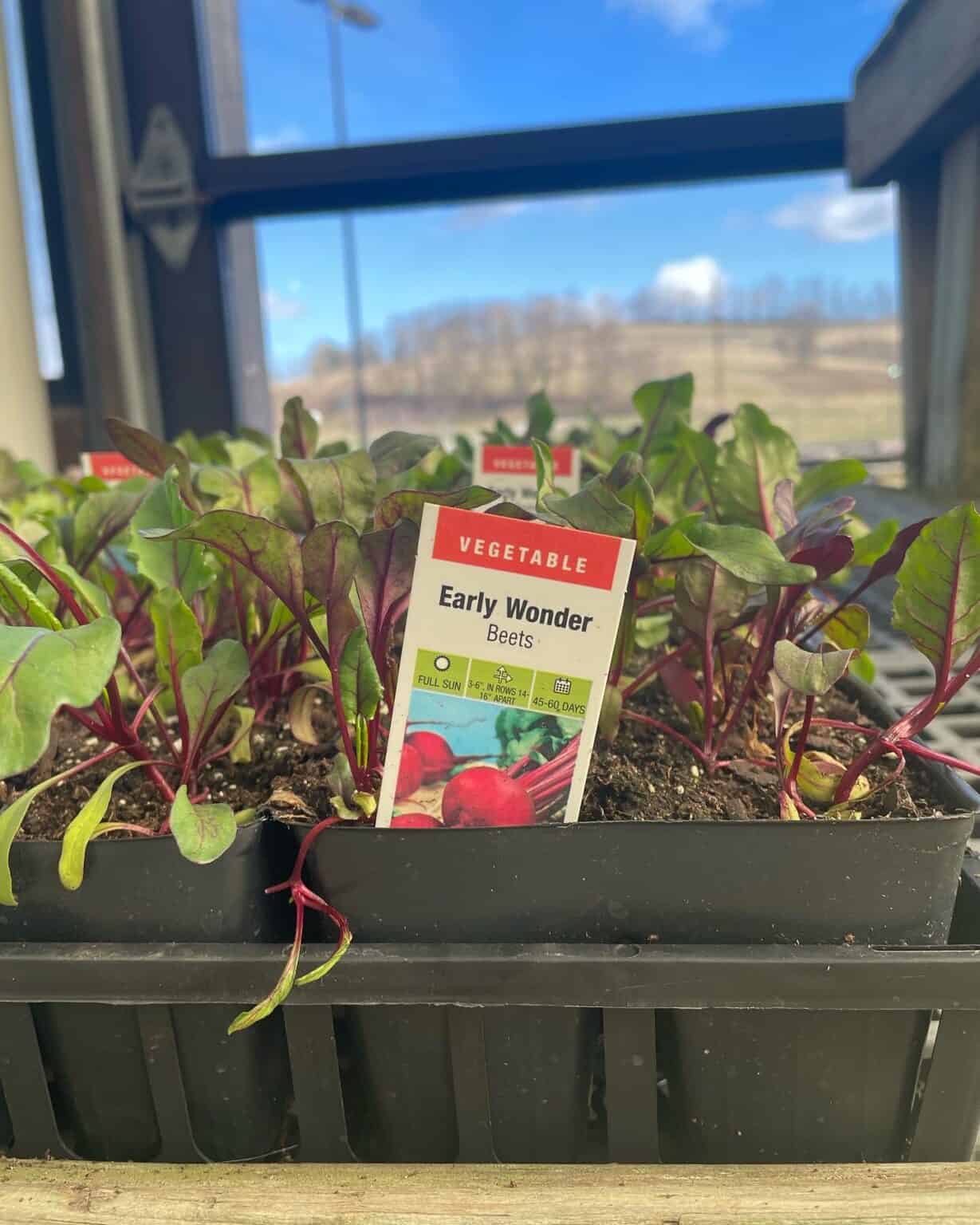 Grow Your Own Farm This Spring With Trax Farms! - Made In PGH