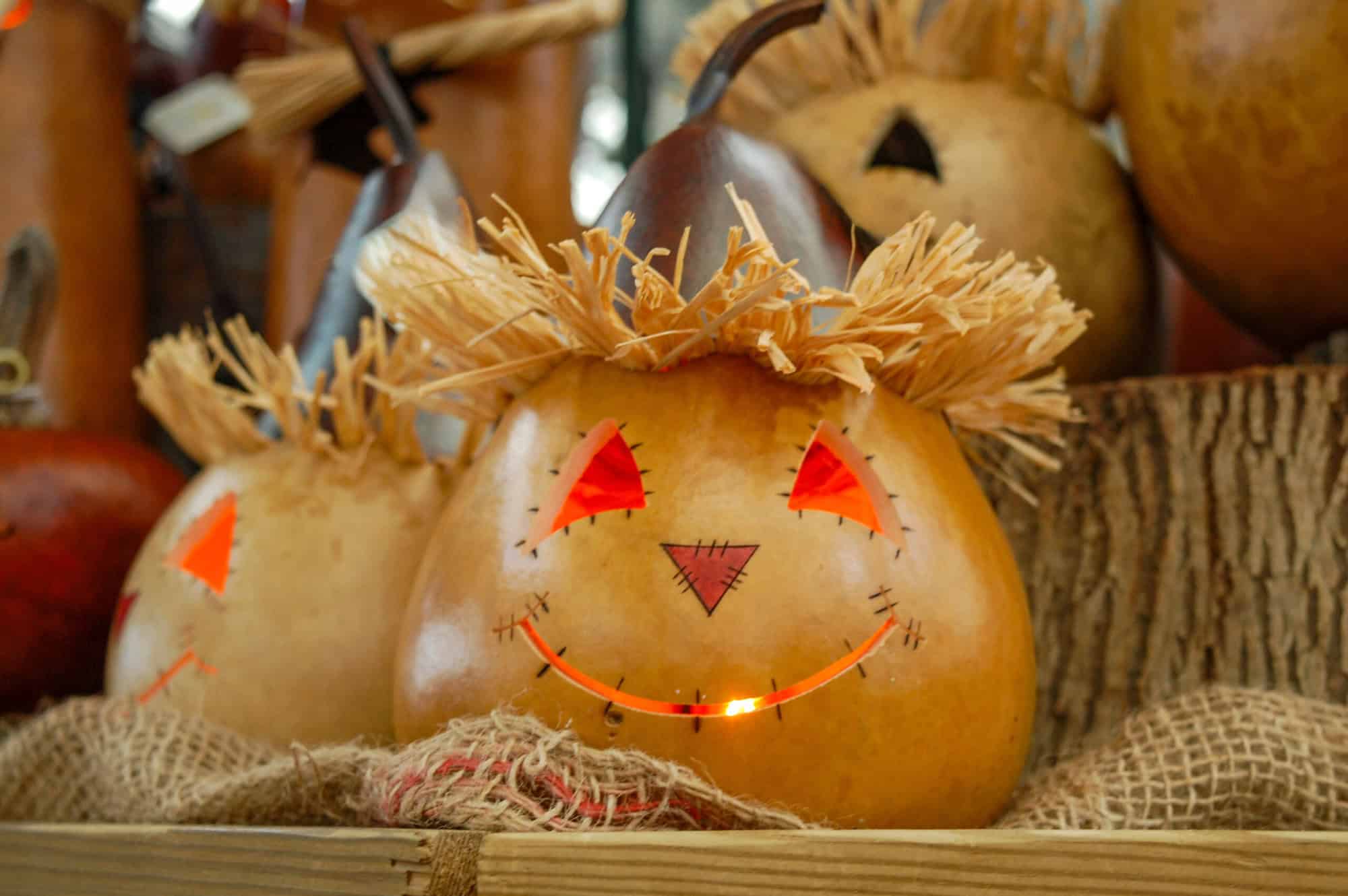 Trax Farms is Pittsburgh’s One Stop Shop for Fall Essentials - Made In PGH